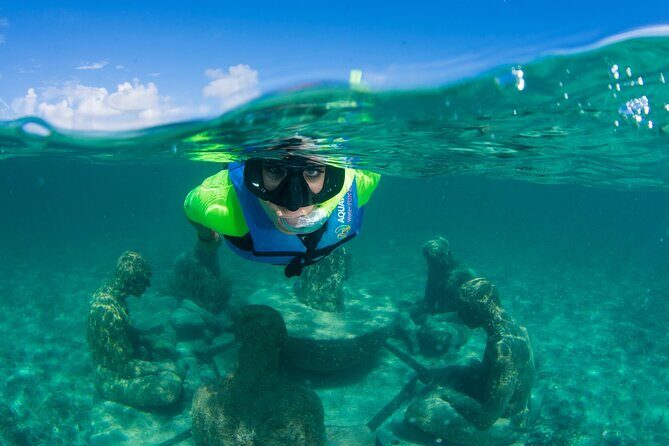 Mangrove Jungle Speedboat Experience - Final Thoughts: Who Is This Tour For?