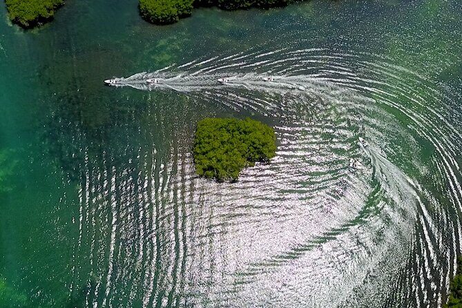 Mangrove Jungle Speedboat Tour in Nichupte Lagoon - An In-Depth Look at the Tour Experience