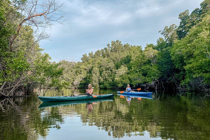 Mangrove Kayaking Tour - What’s Included and What’s Not