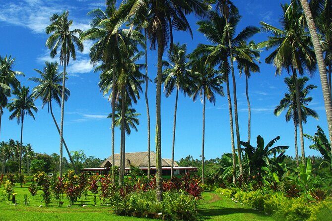 Mangrove to Lagoon Kayak and Paddleboard Adventure - What is the Mangrove to Lagoon Kayak and Paddleboard Adventure?