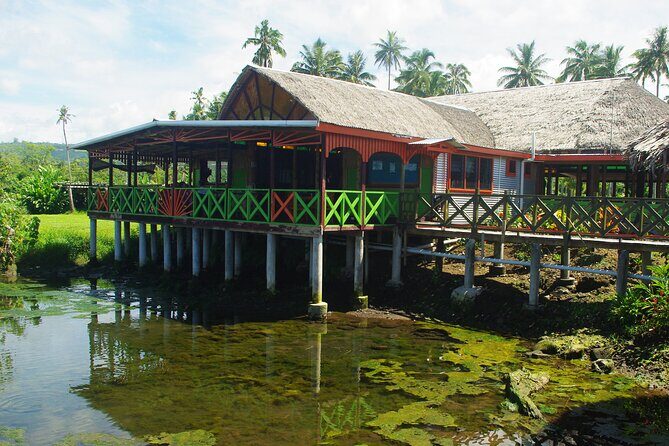 Mangrove to Lagoon Kayak and Paddleboard Adventure - What are the highlights of the experience?