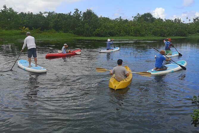 Mangrove to Lagoon Kayak and Paddleboard Adventure - FAQs