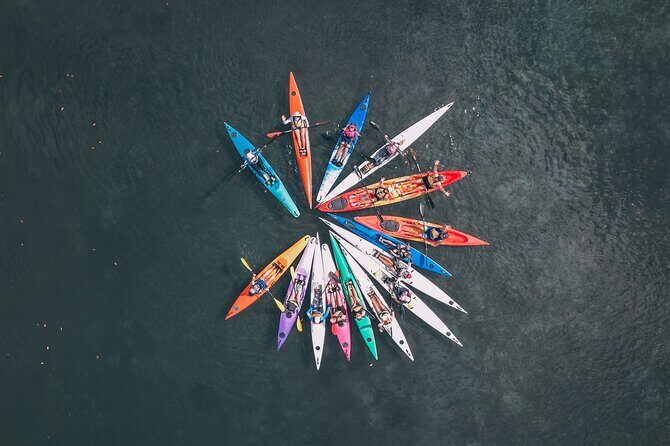 Mangroves and Mansions Guided Kayak Tour on the Noosa River - An In-Depth Look at the Tour Experience