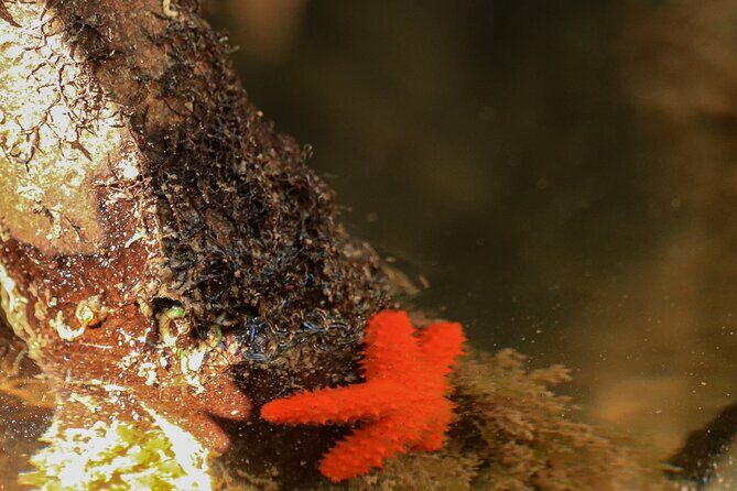 Mangroves Kayaking Tour from Cancun - Final Thoughts