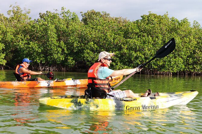 Mangroves Kayaking Tour from Cancun - Additional Resources