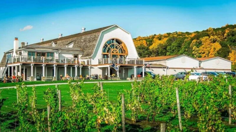Manhattan: Millbrook Vineyards & Winery Private Tour - Key Points