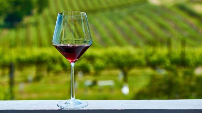 Manhattan: Millbrook Vineyards & Winery Private Tour - What to Expect from the Tour