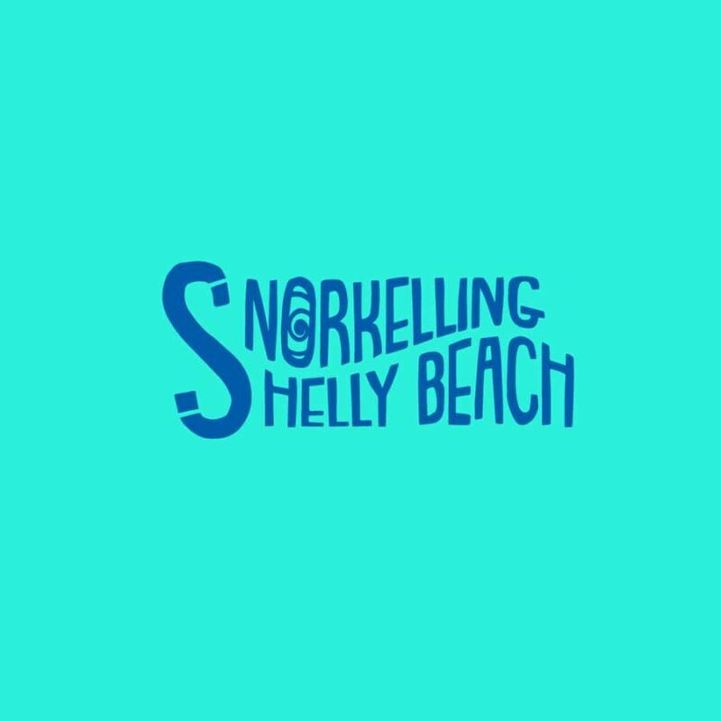 Manly Beach Guided Snorkeling Tours - Final Thoughts: Is This the Right Tour for You?