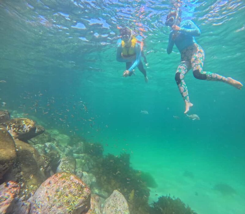 Manly Beach Guided Snorkeling Tours - FAQ