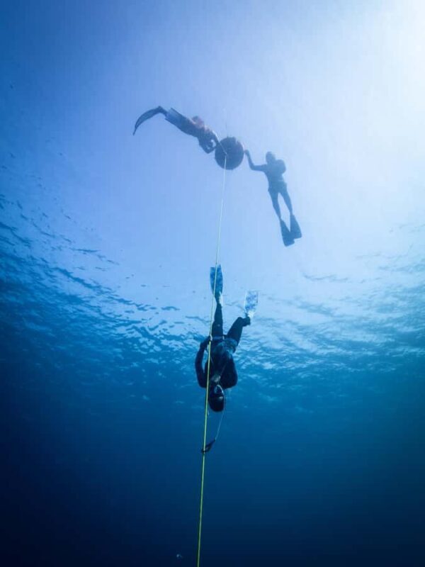 Manly: Beginner Freediving: Breath-Hold & Ocean Exploration - The Sum Up