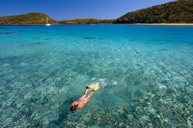 Mantaray Island Day Trip with Lunch - Introduction