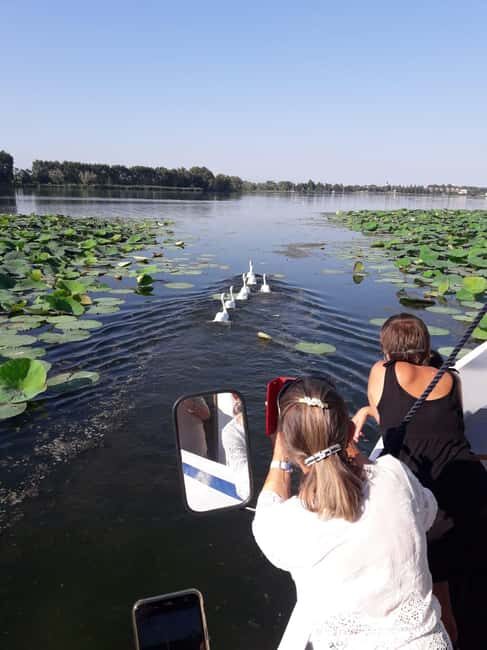 Mantua: Boating on Lake Superiore among the Lotus Flower Islands - Key Points