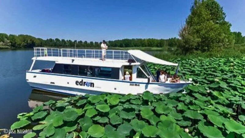 Mantua: Boating on Lake Superiore among the Lotus Flower Islands - An In-Depth Look at the Boat Tour Experience