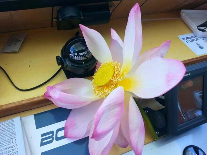 Mantua: Boating on Lake Superiore among the Lotus Flower Islands - FAQ