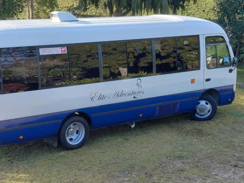 Maori Culture Small Group Afternoon Tour including Te Puia - Key Points