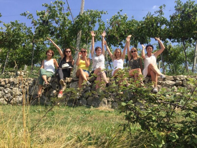 Marano di Valpolicella: DOP Olive Oil Tasting Experience - An In-Depth Look at the Marano di Valpolicella Olive Oil Tour