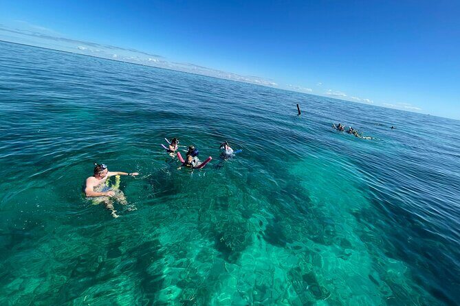 Marathon Coffins Patch Reef Snorkel & Sandbar Tour - FAQs