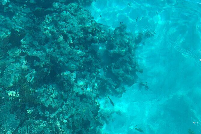 Marathon Sombrero Reef Snorkeling and Sandbar Swim - The Experience in Detail