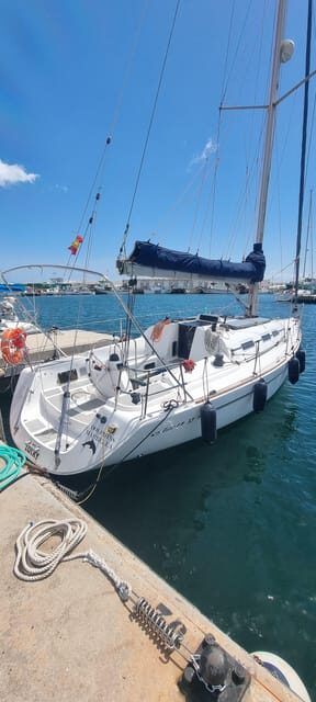 Marbella: Dolphin-Watching Sailboat Trip with Drinks, Snacks - Pricing and Value