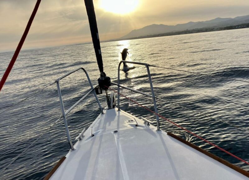 Marbella: Dolphin-Watching Sailboat Trip with Drinks, Snacks - The Experience from a Practical Standpoint