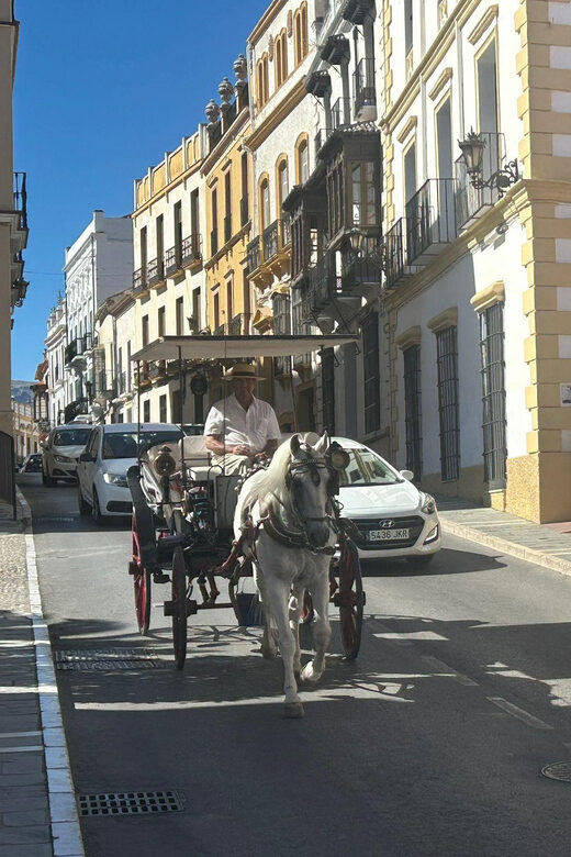 Marbella/Estep. Private VIP-Tour Ronda incl. Tapas & Drinks - Who Should Consider This Tour?