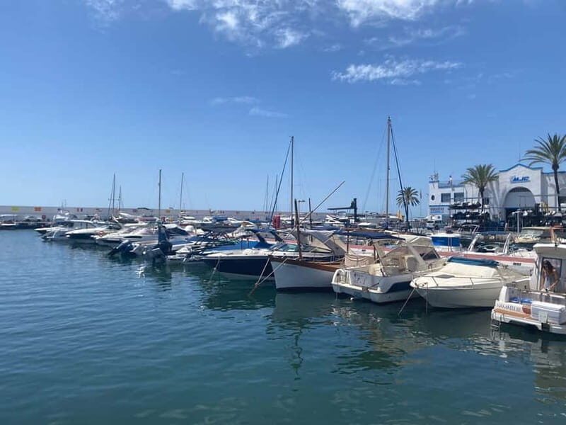 Marbella: Exclusive private premium bike tour to Puerto Banus - First Impressions: A Well-Balanced Ride Along the Coast