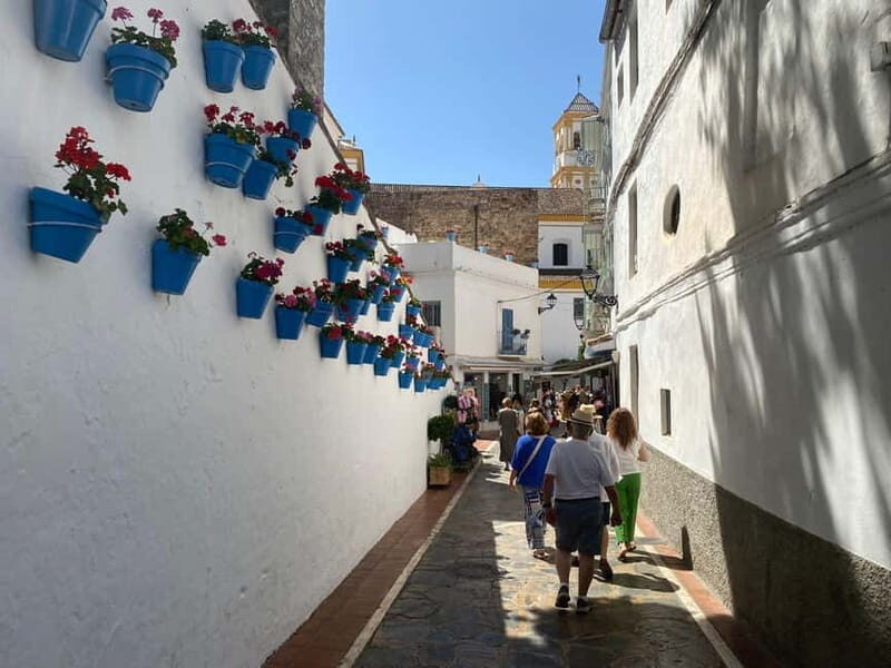 Marbella: Exclusive private premium bike tour to Puerto Banus - The Sum Up: Who Will Love This Tour?
