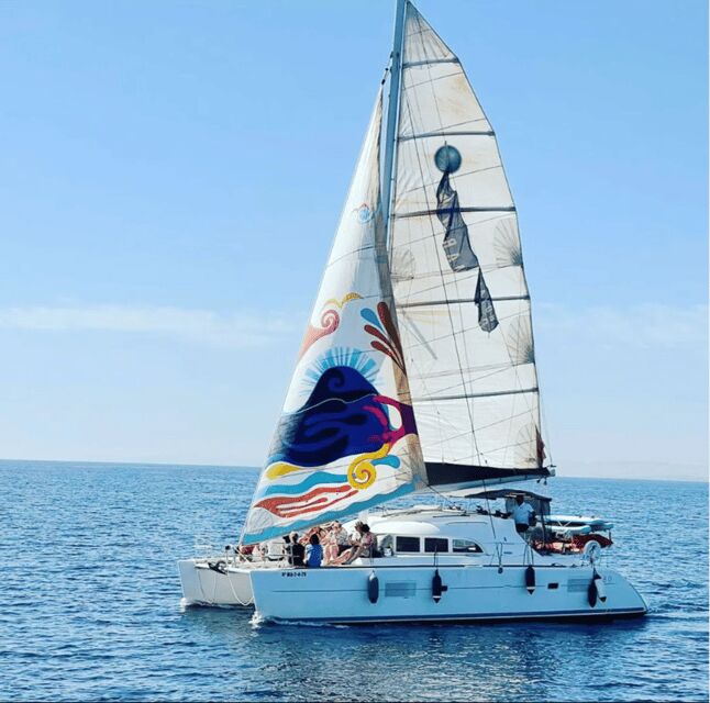 Marbella: Group Dolphin Watching Catamaran Tour with Snacks - Price and Value: Are You Getting Your Money’s Worth?