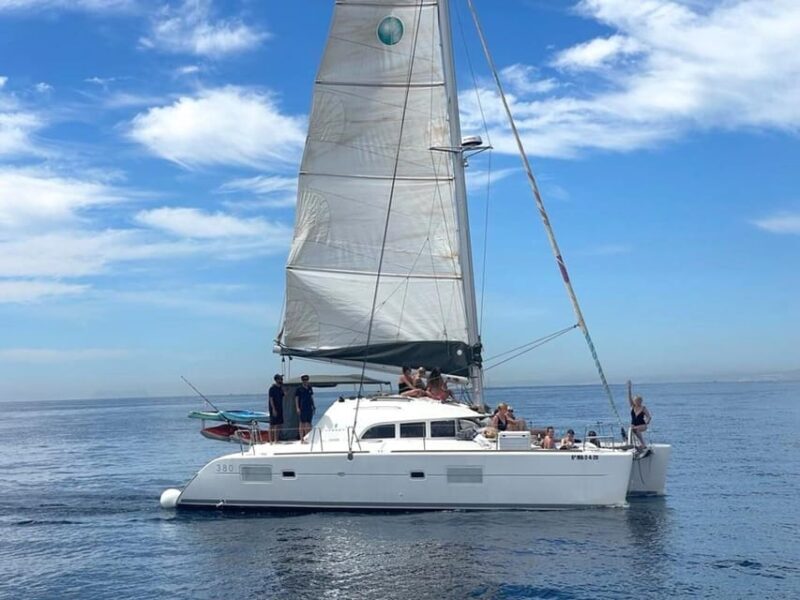Marbella: Group Dolphin Watching Catamaran Tour with Snacks - The Sum Up