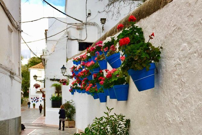 Marbella Old Town group tour with a True Local - Final Thoughts