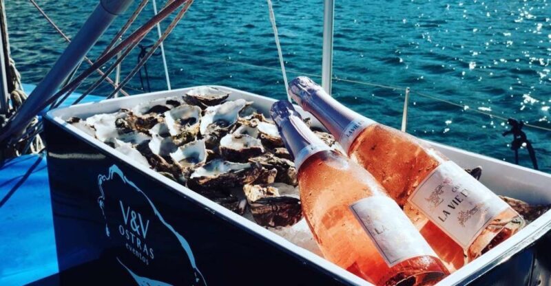 Marbella: Puerto Banús Private Sailing Cruise with Drinks - Marbella: Puerto Banús Private Sailing Cruise with Drinks — An Authentic Look