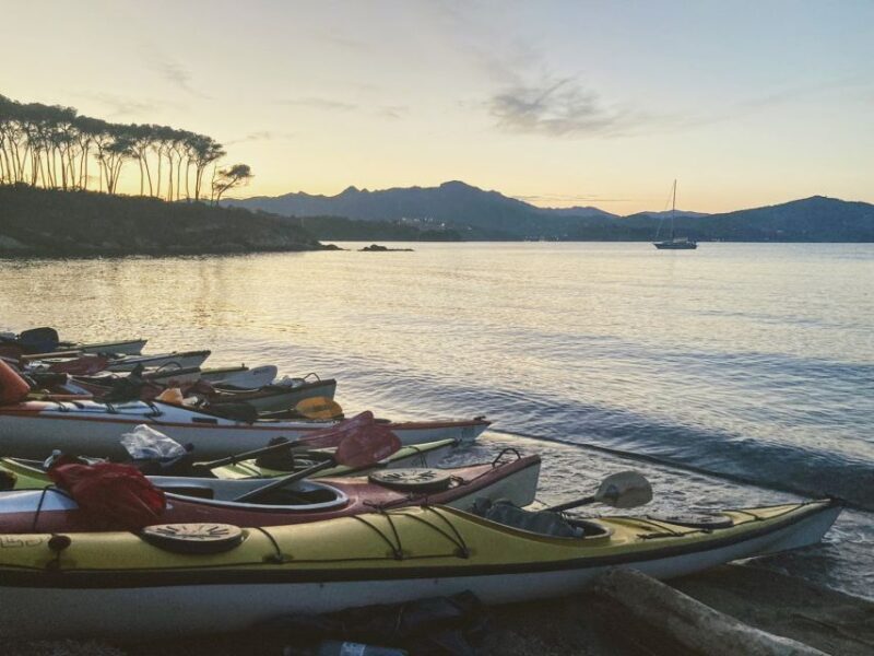 Marciana Marina: Evening Sea Kayaking Tour with Swim Stop - What Makes This Tour Stand Out?