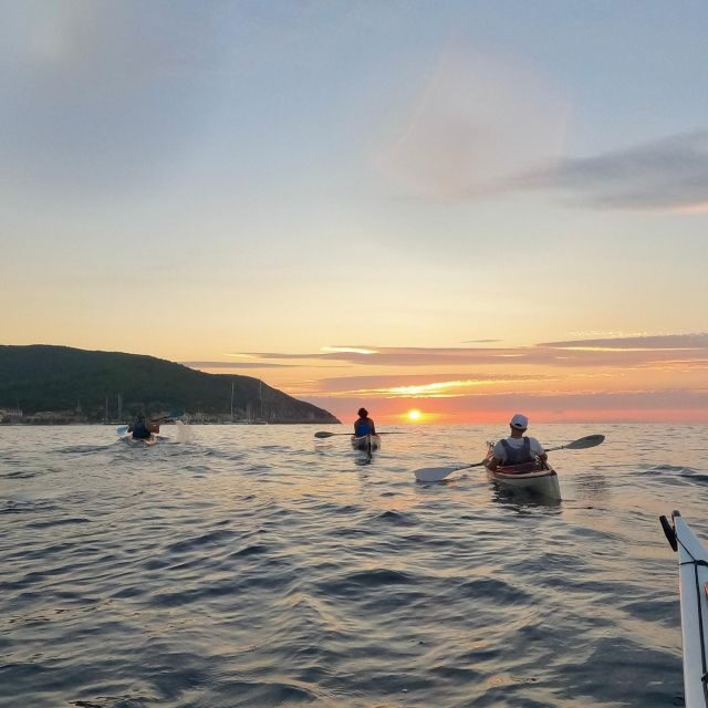 Marciana Marina: Evening Sea Kayaking Tour with Swim Stop - Why This Tour Offers Great Value