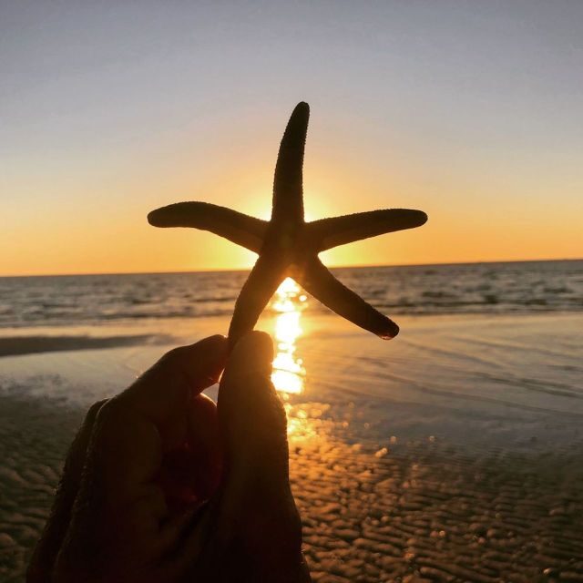 Marco Island: 2 Private Hour Sunset Boat Tour - Key Points