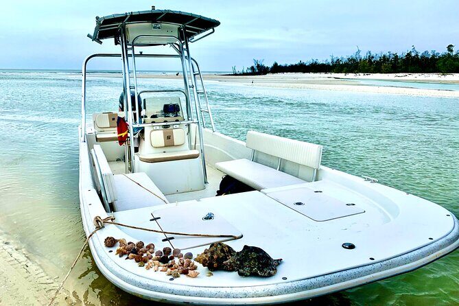 Marco Island Private Tubing, Dolphin Watching and Shelling Tour - Why This Tour Works Well
