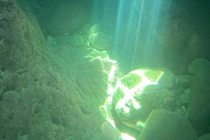 Marco Polo Sea Cruises 2 Hour Mini Adventure - Who Should Consider This Tour  