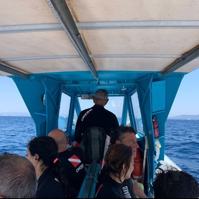 Maremma: Sea's Treasures - Tour and snorkelling on a dinghy - Key Points