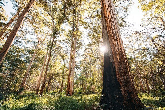 Margaret River 3 Day Escape - A More Detailed Look at the Margaret River 3 Day Escape