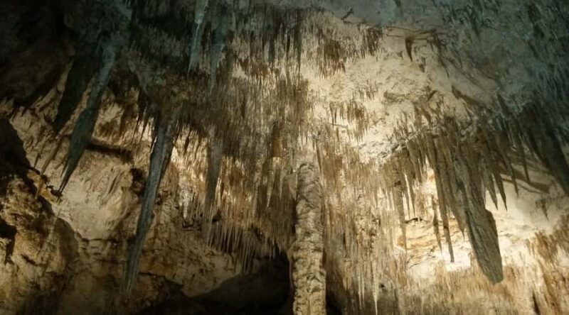 Margaret River and Busselton Jetty: Day Trip from Perth - Key Points