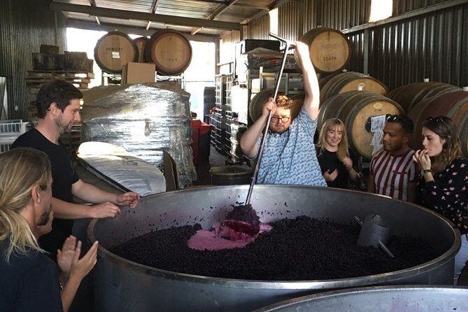 Margaret River Beer & Wine Adventure (departs Margaret River) - A Detailed Look at the Margaret River Beer & Wine Adventure