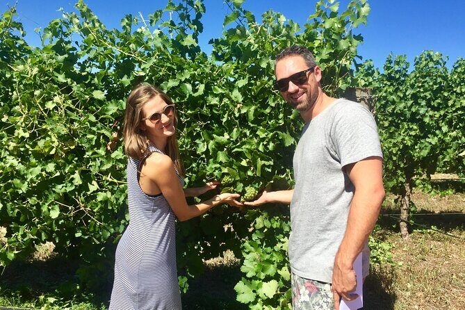 Margaret River Beer & Wine Adventure (departs Margaret River) - Key Points