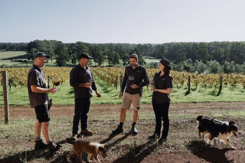 Margaret River: Full-Day Wine Tour - Practical Tips and Considerations