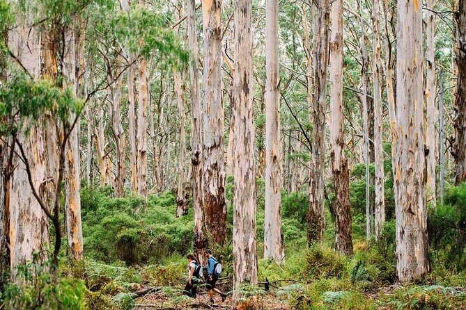 Margaret River Getaway 2 Day Tour - An In-Depth Look at the Margaret River Getaway