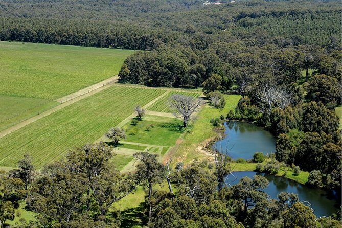 Margaret River Indulge and Discover Day Tour - Final Thoughts