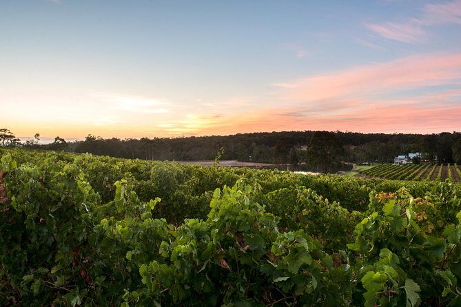 Margaret River Indulge and Discover Day Tour - FAQ