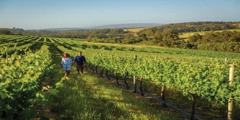 Margaret River Private Day Tour from Perth - An In-Depth Look at the Tour Experience