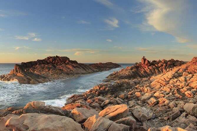 Margaret River Private Tour - An In-Depth Look at the Margaret River Private Tour