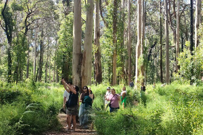 Margaret River Region Impression Day Tour from Perth - Frequently Asked Questions