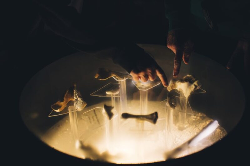 Margaret River: Self-Guided Audio Tour of Mammoth Cave - Why This Tour Is a Great Choice