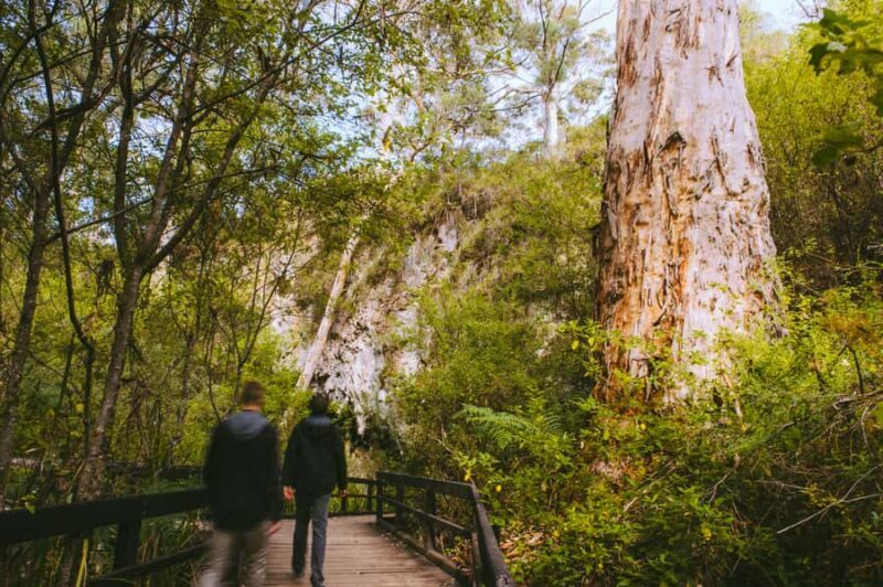 Margaret River: Self-Guided Audio Tour of Mammoth Cave - FAQs